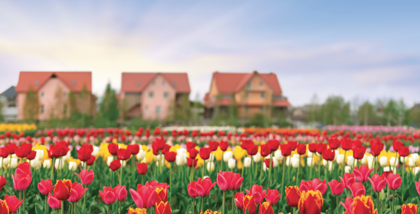 Spring Maintenance Tips for your Roof - Dykstra Knight Roofing